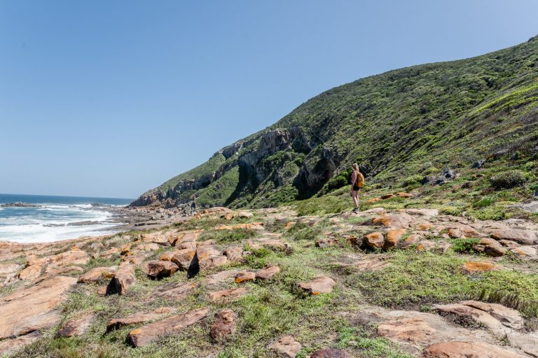 Garden Route: de beste tips en mooiste plekken - Reisgenie