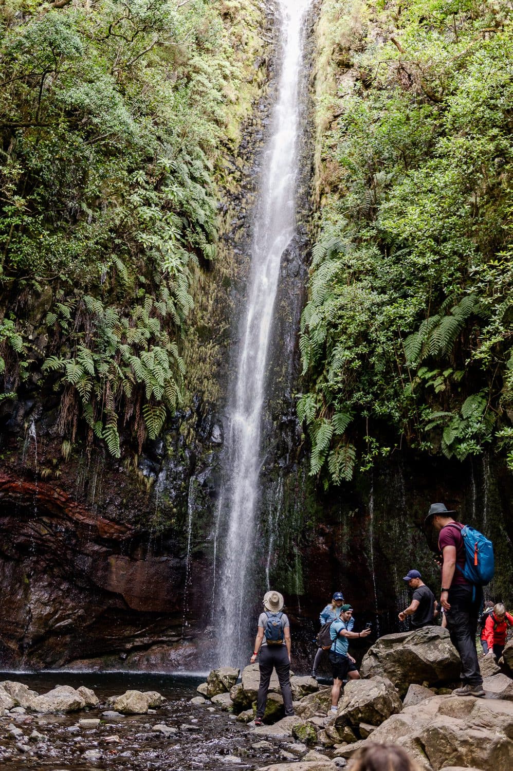 Wat te doen op Madeira: 20x tips en bezienswaardigheden