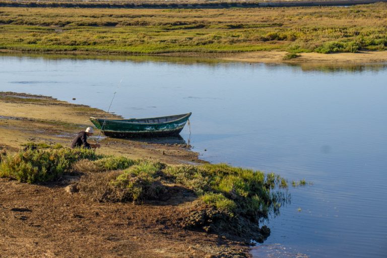 Ria Formosa: bijzondere natuur in de Algarve