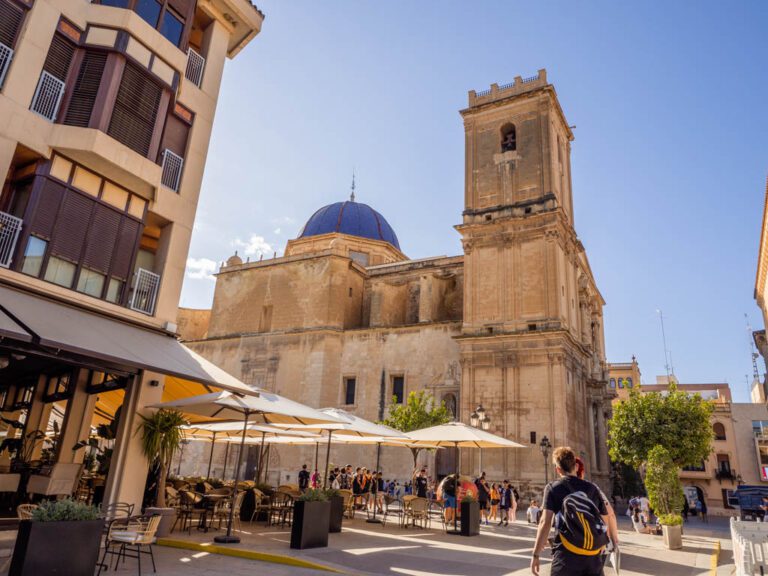Wat te doen in Elche: de palmenstad van Spanje - Reisgenie