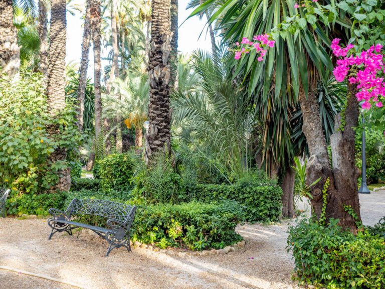 Wat te doen in Elche: de palmenstad van Spanje