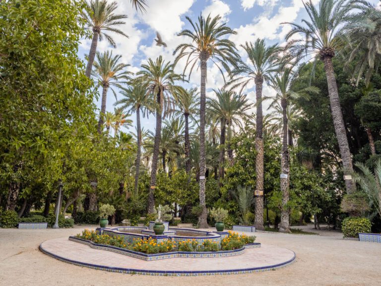 Wat te doen in Elche: de palmenstad van Spanje - Reisgenie